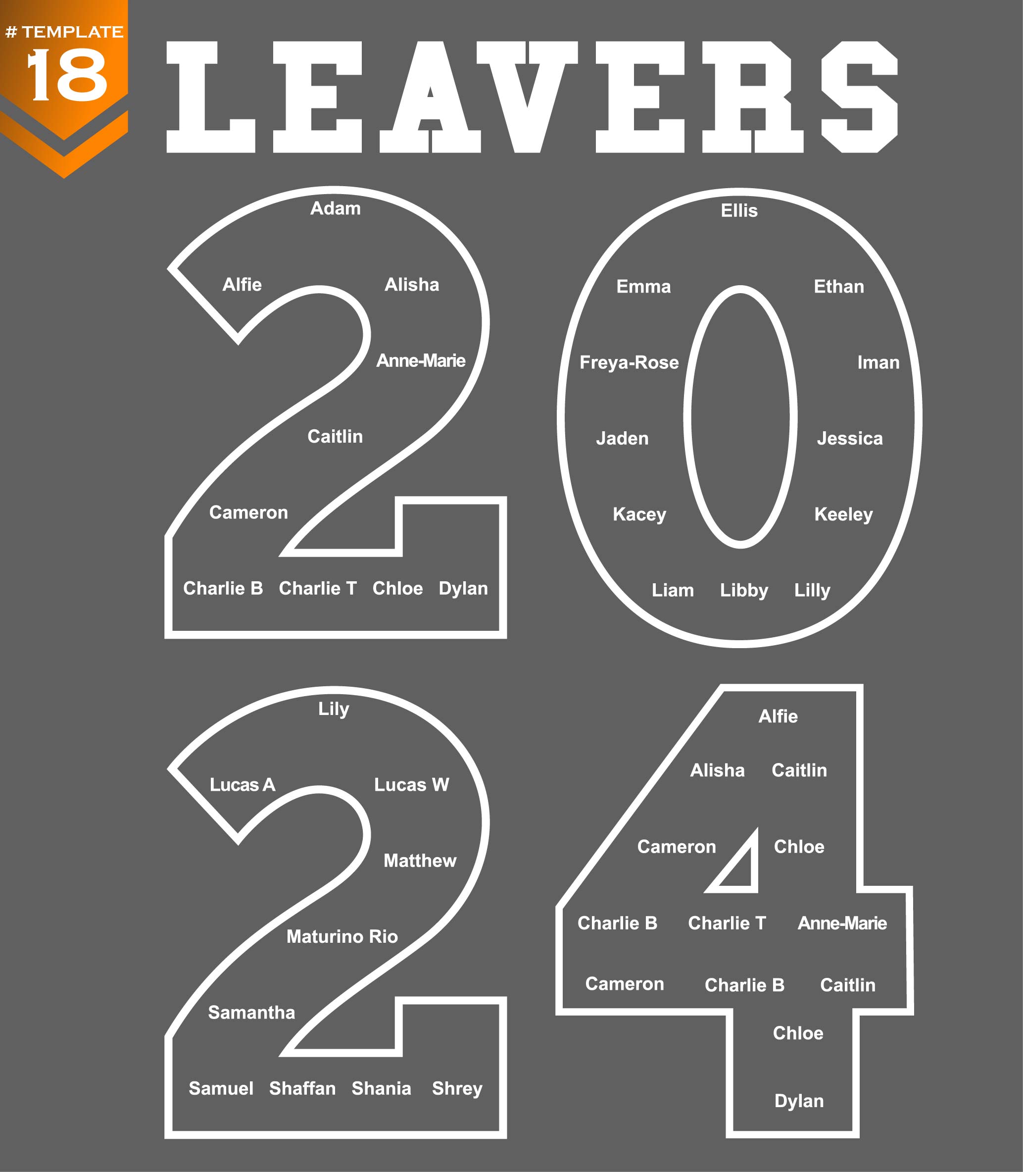 Leavers artwork - Net Digitizing